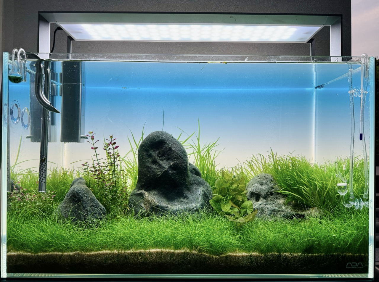 Simplicity - 60x30x36 | Seite 3 | Flowgrow