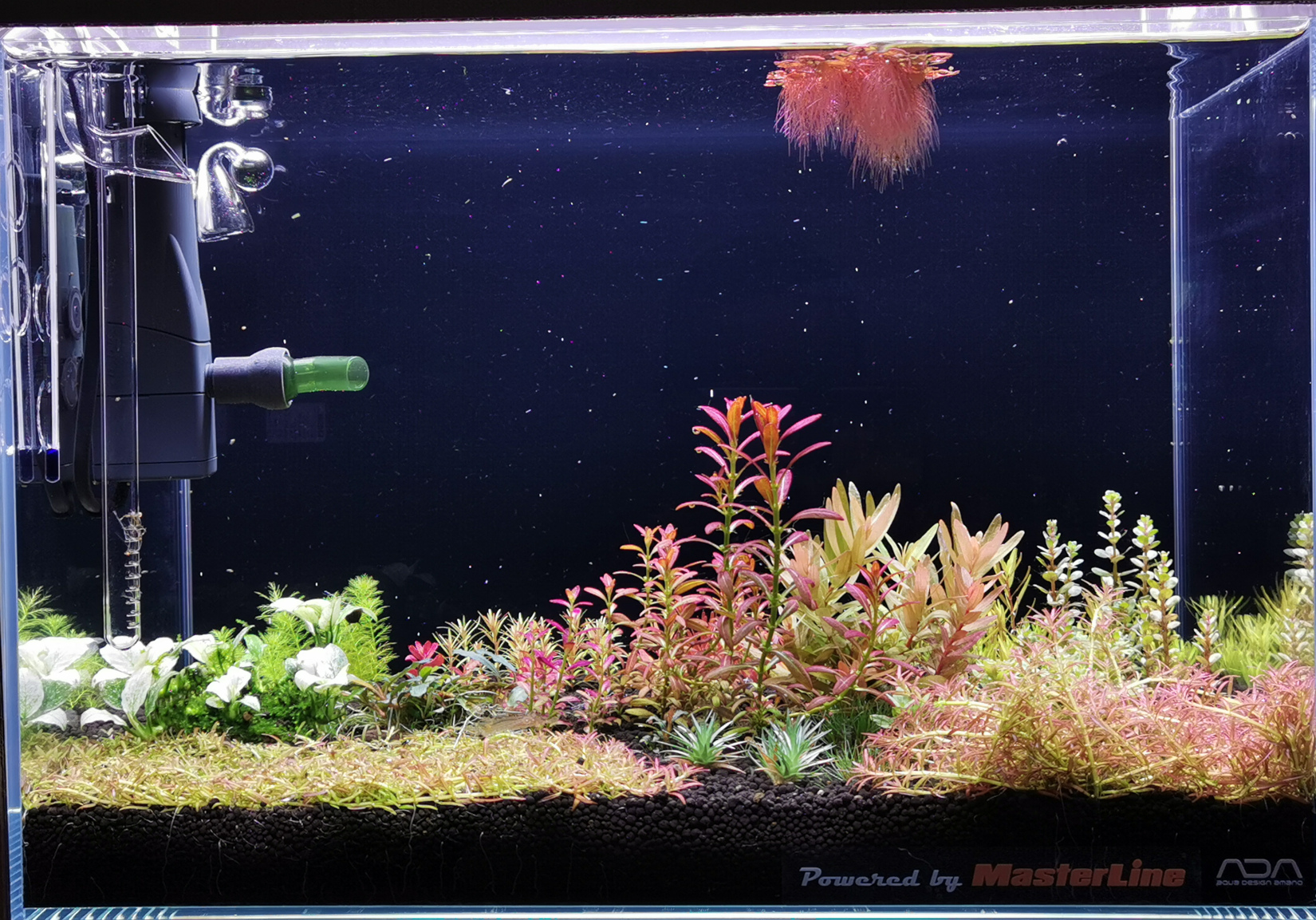 Masterline Soil Tagebuch | Seite 3 | Flowgrow