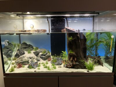 DIY Mizukusa Mist Wall | Flowgrow