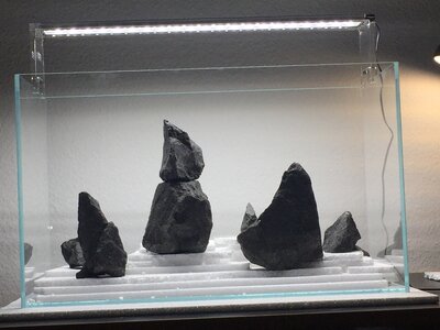 Koke's Delight - 60p mit Koke Stones Hardscape | Flowgrow