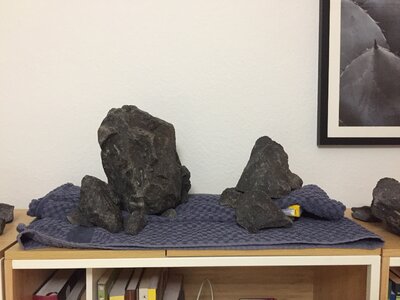 Koke's Delight - 60p mit Koke Stones Hardscape | Flowgrow