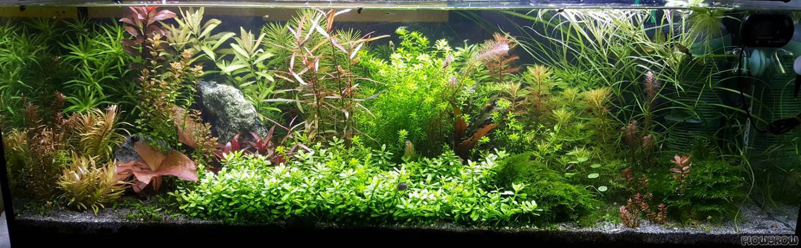 122 Liter Becken Nr.2 - Flowgrow Aquascape/Aquarien-Datenbank