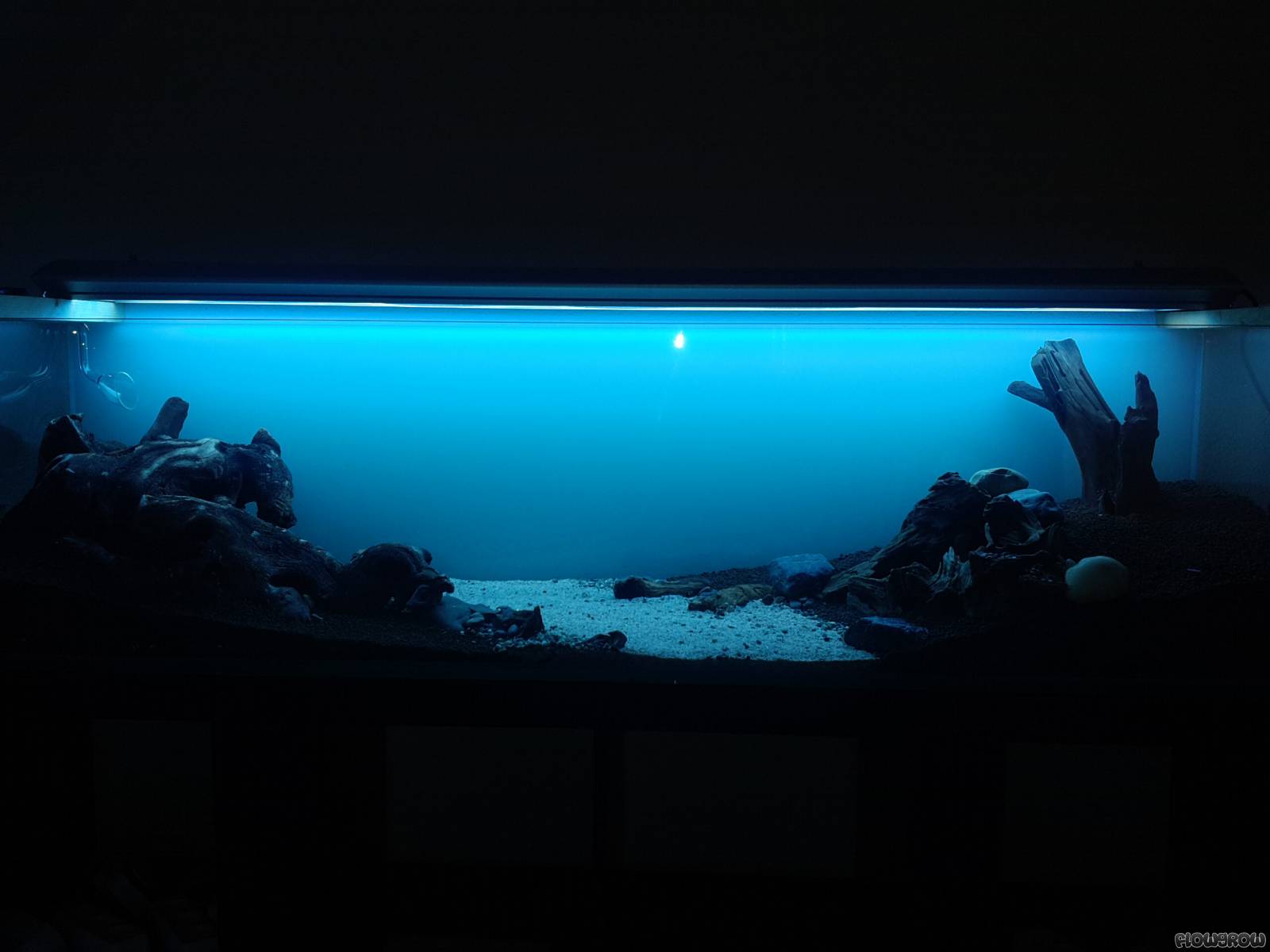 Amimitl - Flowgrow Aquascape/Aquarien-Datenbank