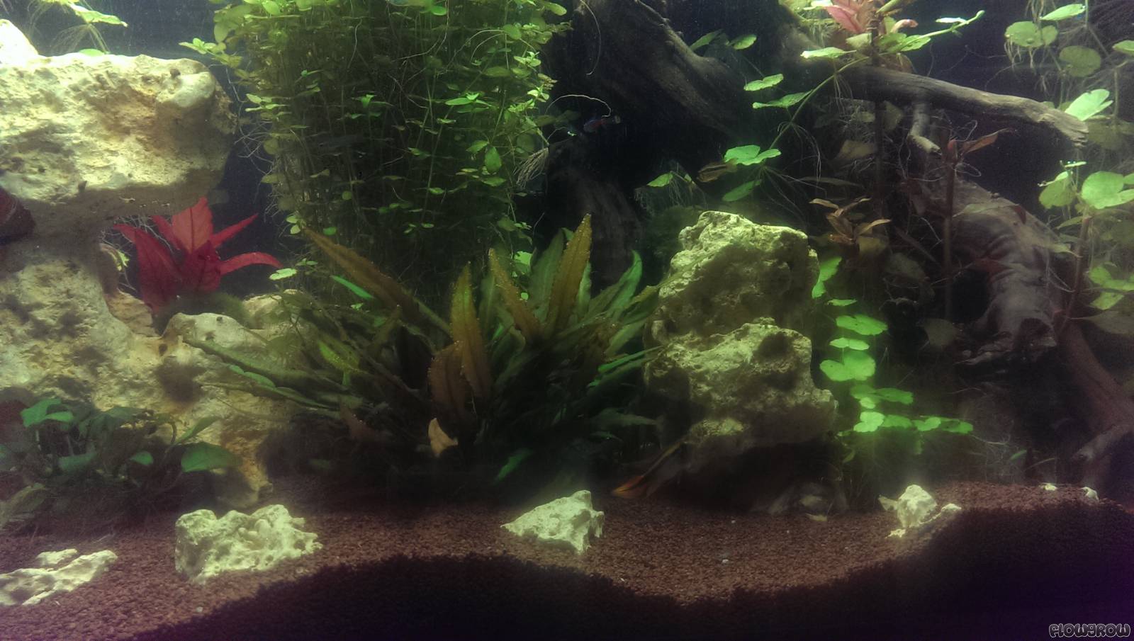 Fluval Profile 1500 - Flowgrow Aquascape/Aquarien-Datenbank