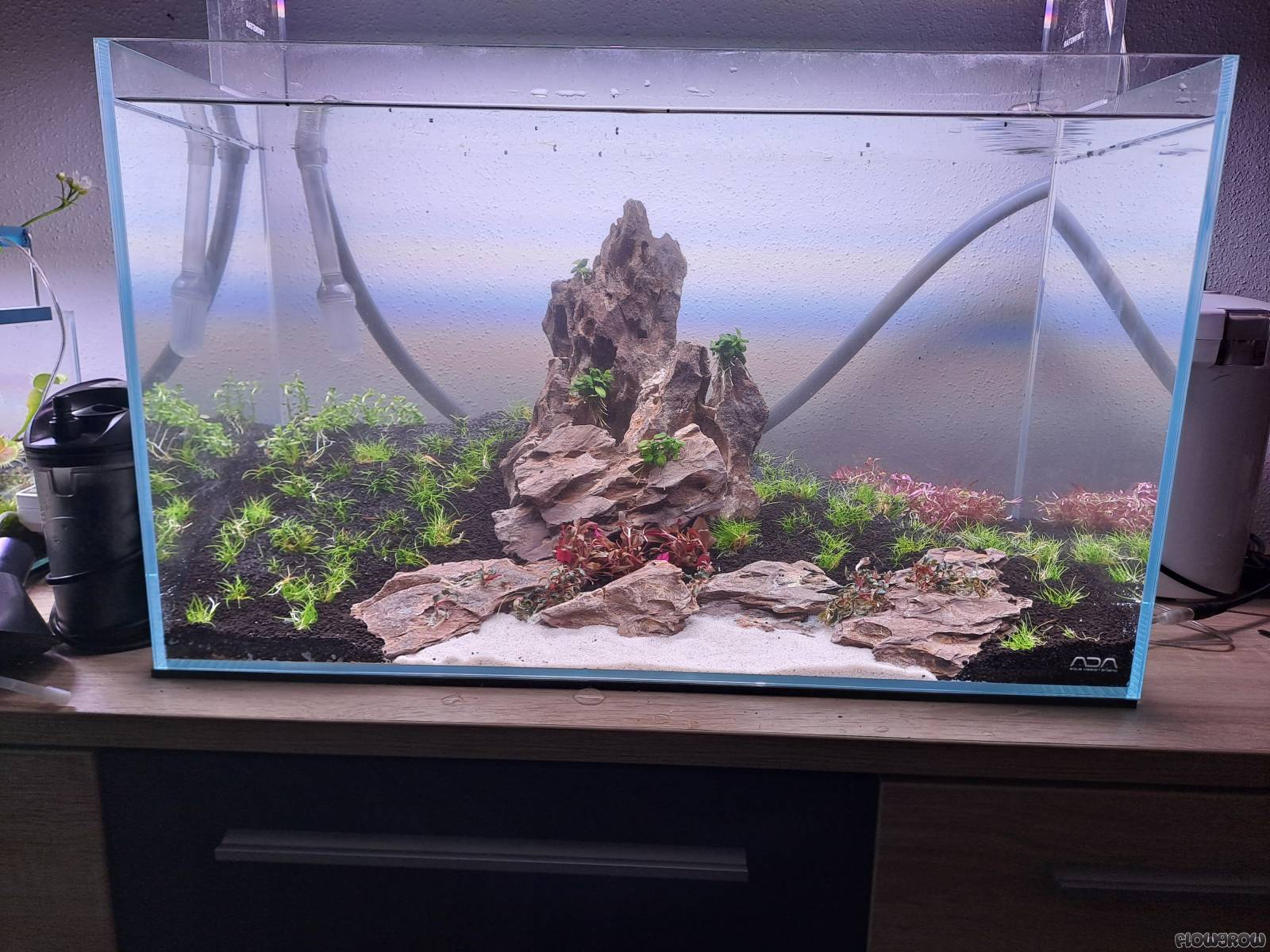 Hochzeits 60P - Flowgrow Aquascape/Aquarien-Datenbank