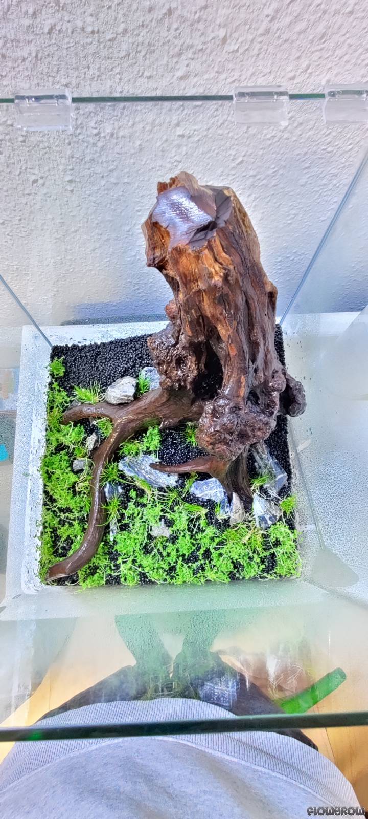 Jungle Cube - Flowgrow Aquascape/Aquarien-Datenbank