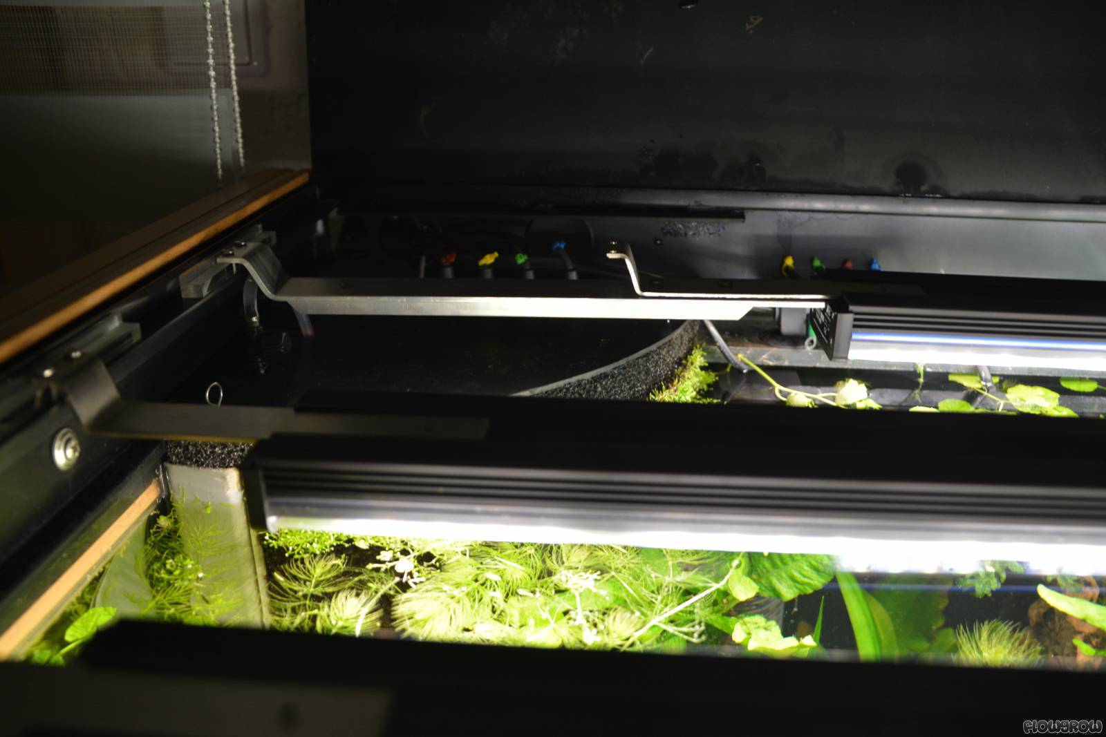 Mein Altum Becken - Flowgrow Aquascape/Aquarien-Datenbank