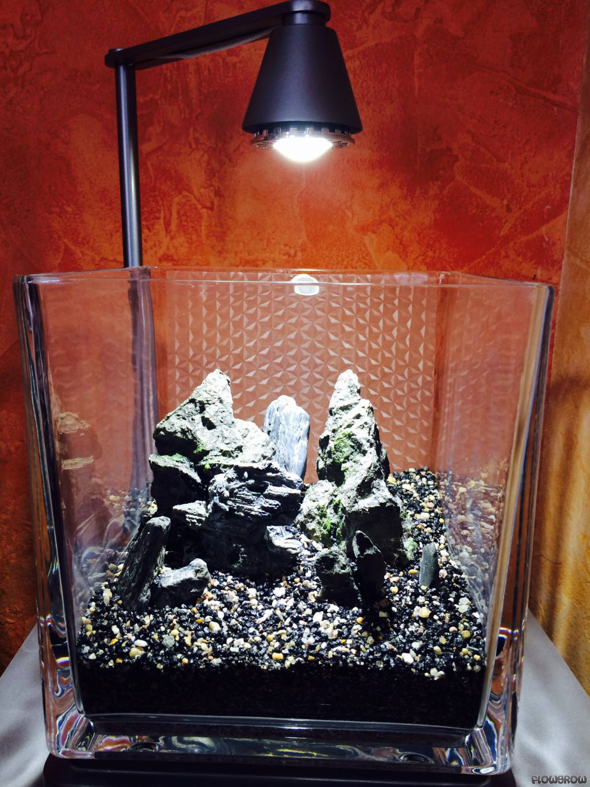 Meine 8 liter tropica cube - Flowgrow Aquascape/Aquarien-Datenbank