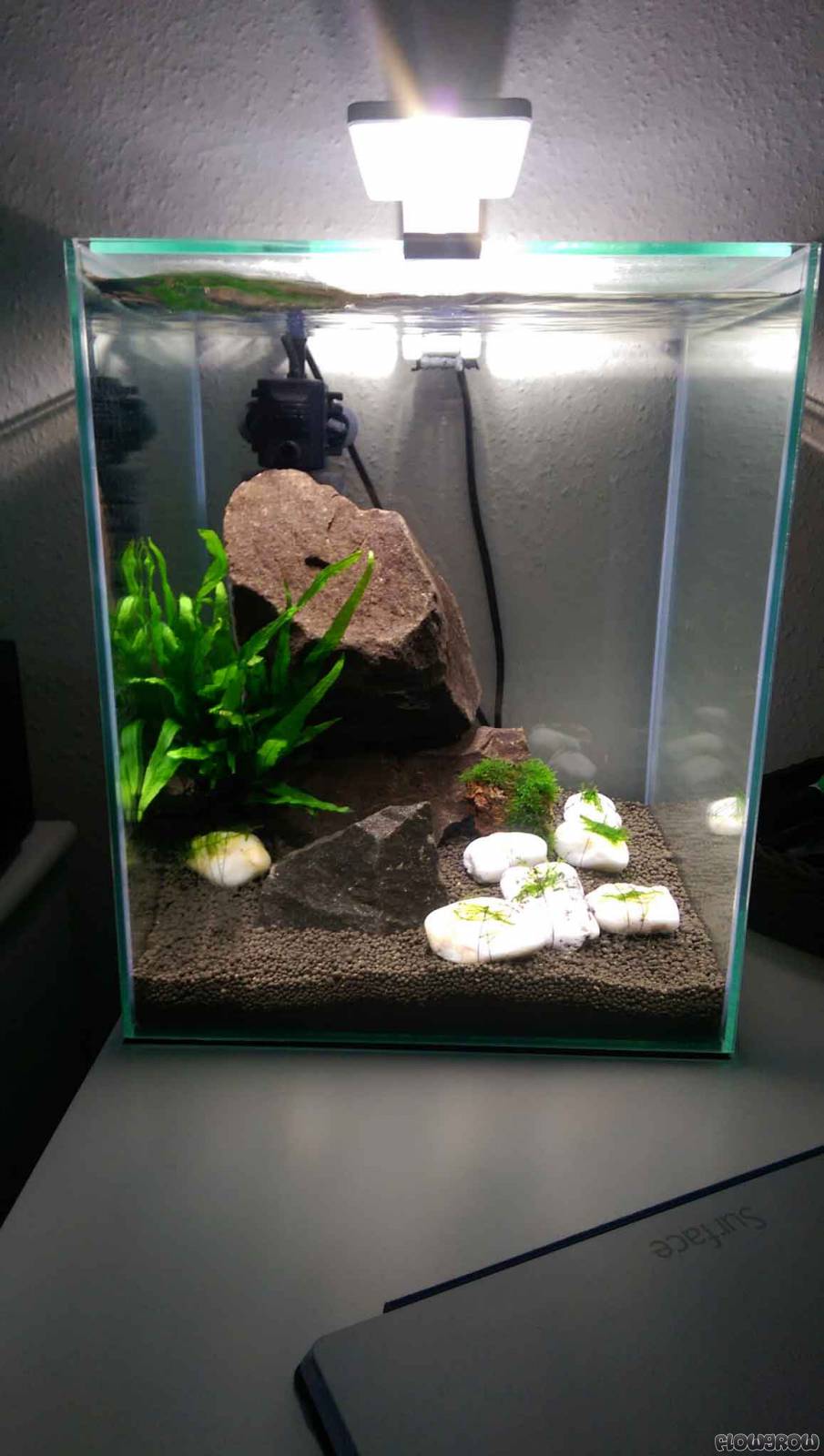 Nano 30 - Flowgrow Aquascape/Aquarien-Datenbank