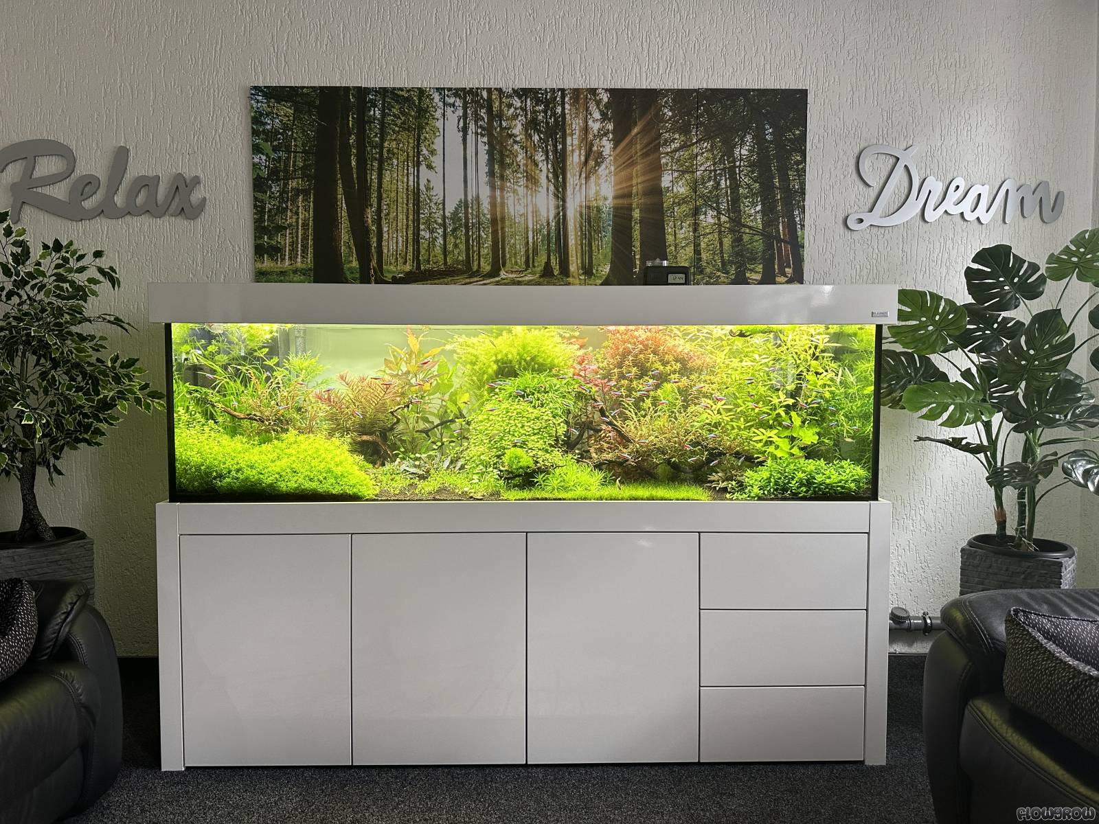 Relax & Dream Aquarium - Flowgrow Aquascape/Aquarien-Datenbank