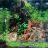 Cube 20 - Flowgrow Aquascape/Aquarien-Datenbank