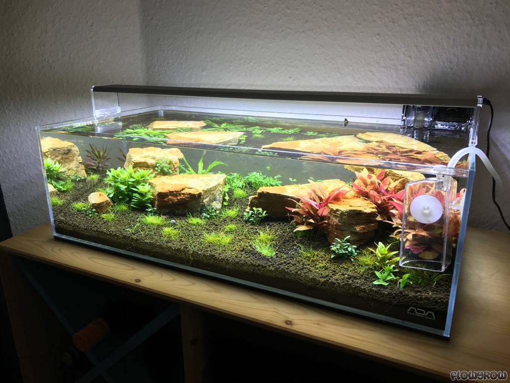 60-F - Flowgrow Aquascape/Aquarium Database
