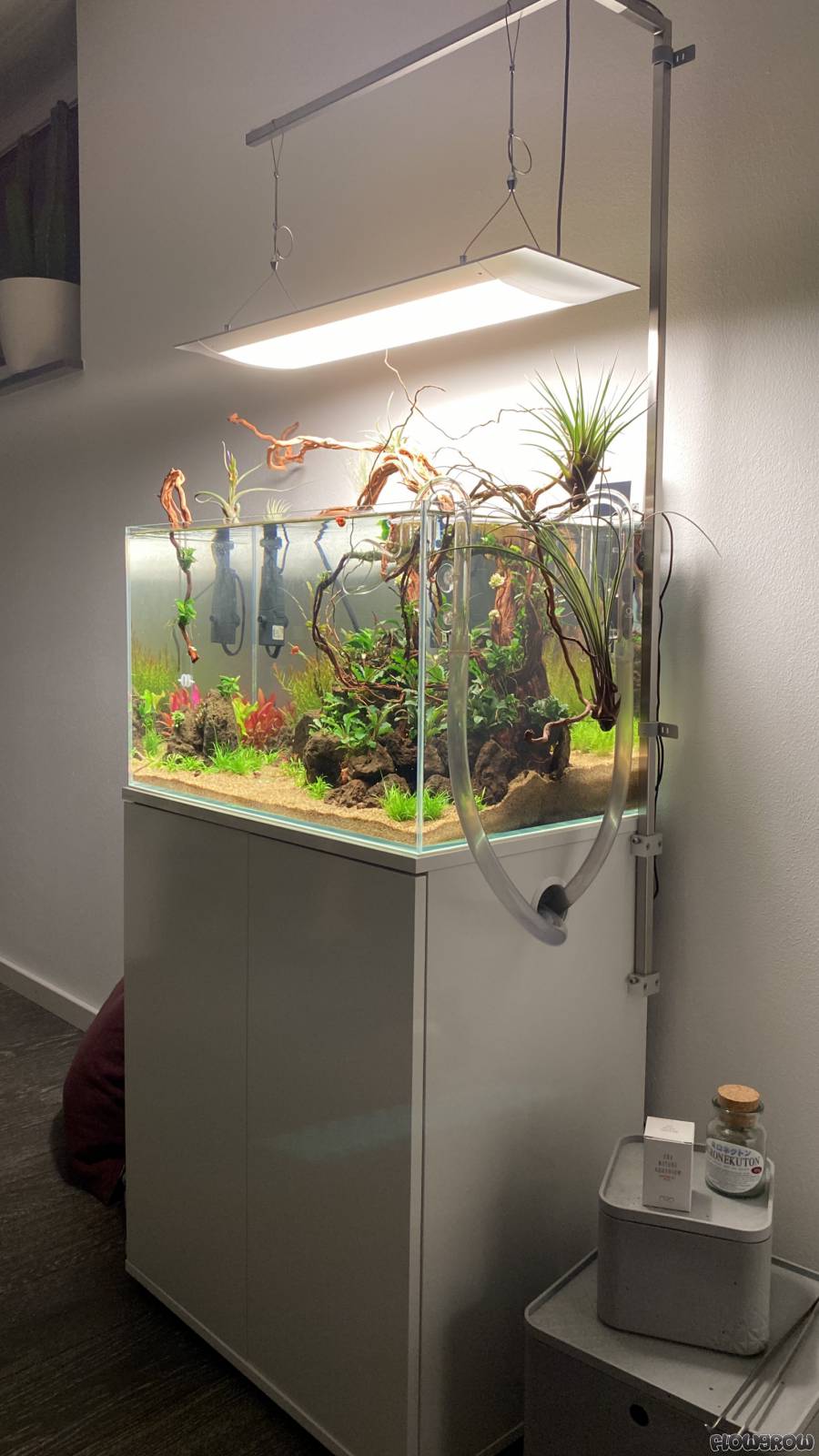 Clear Garden 60P (XD) - Flowgrow Aquascape/Aquarium Database