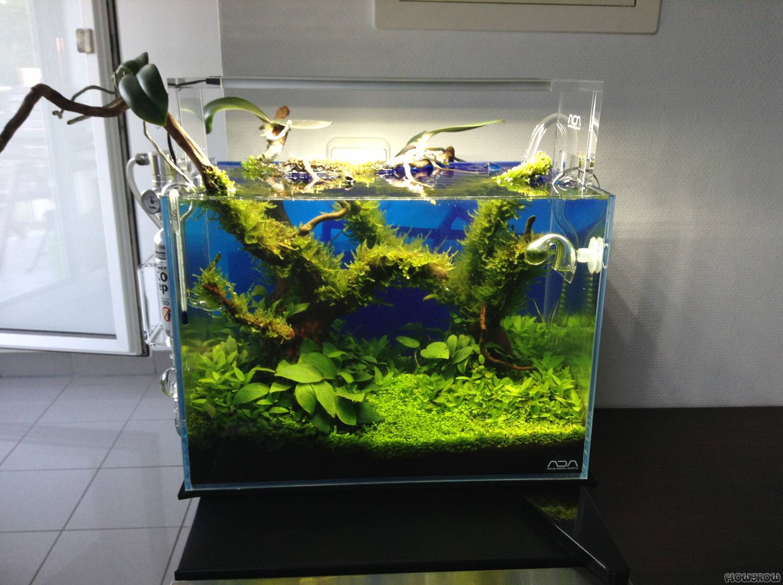 Cube Wood M - Flowgrow Aquascape/Aquarium Database