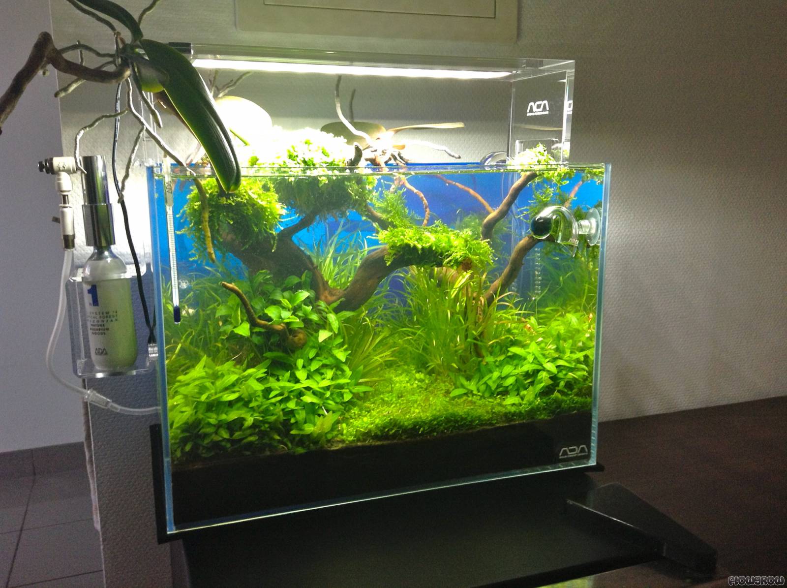 Cube Wood M - Flowgrow Aquascape/Aquarium Database