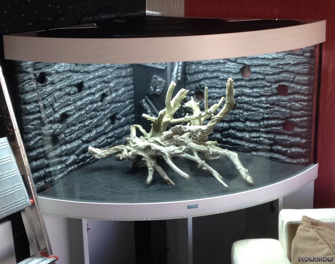 Farn Becken - Flowgrow Aquascape/Aquarium Database