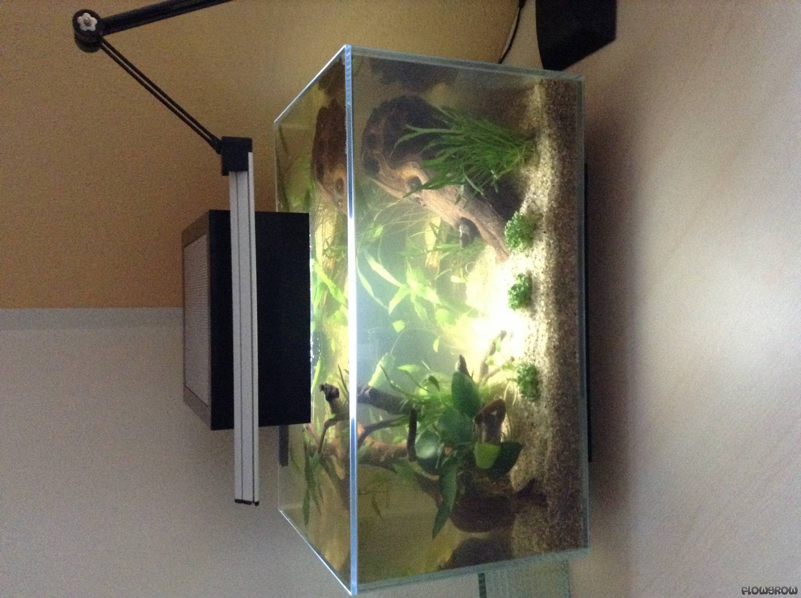 Fluval Edge 1 - Flowgrow Aquascape/Aquarium Database