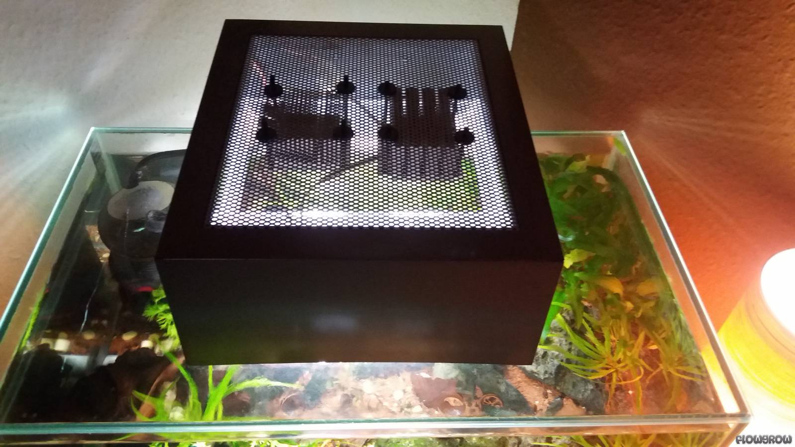 Fluval Edge modifiziert! - Flowgrow Aquascape/Aquarium Database