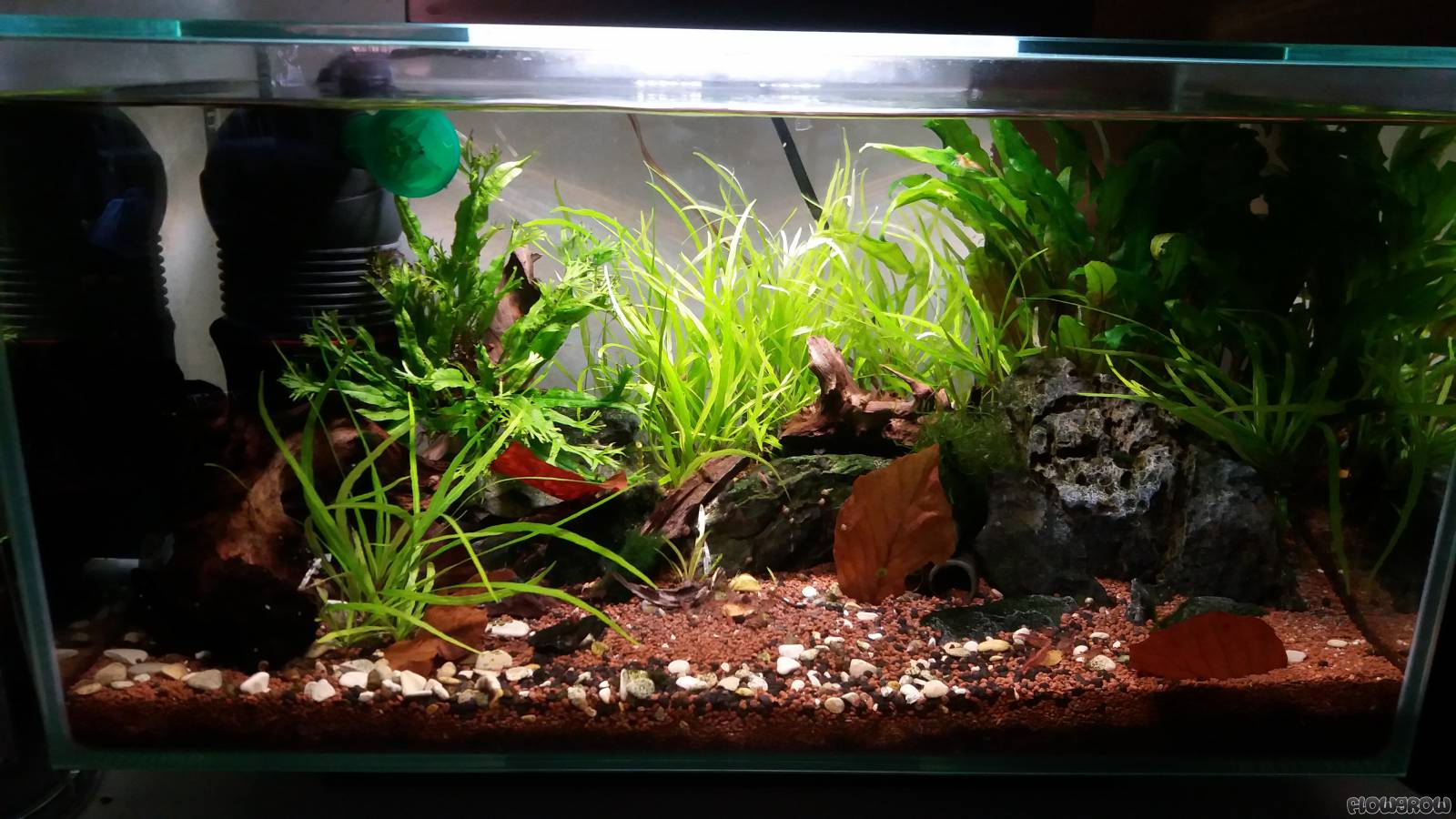 Fluval Edge modifiziert! - Flowgrow Aquascape/Aquarium Database