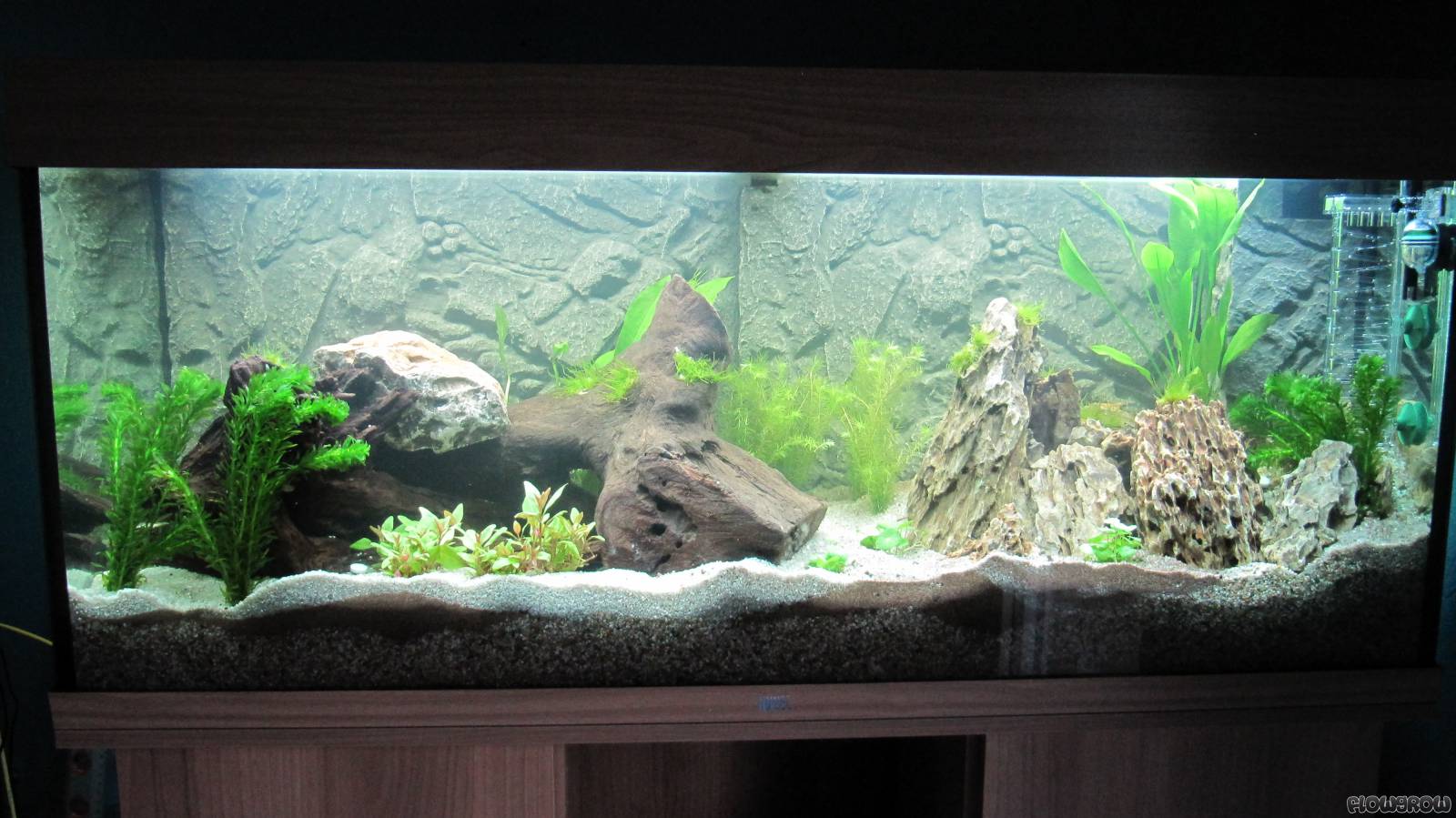 Juwel Rio 240 Matriuu - Flowgrow Aquascape/Aquarium Database