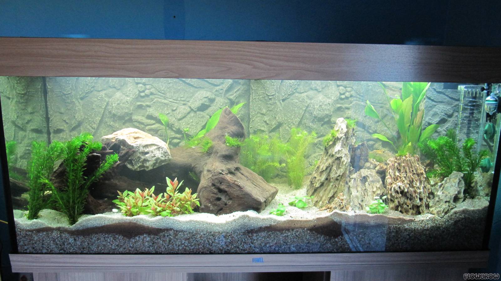 Juwel Rio 240 Matriuu - Flowgrow Aquascape/Aquarium Database