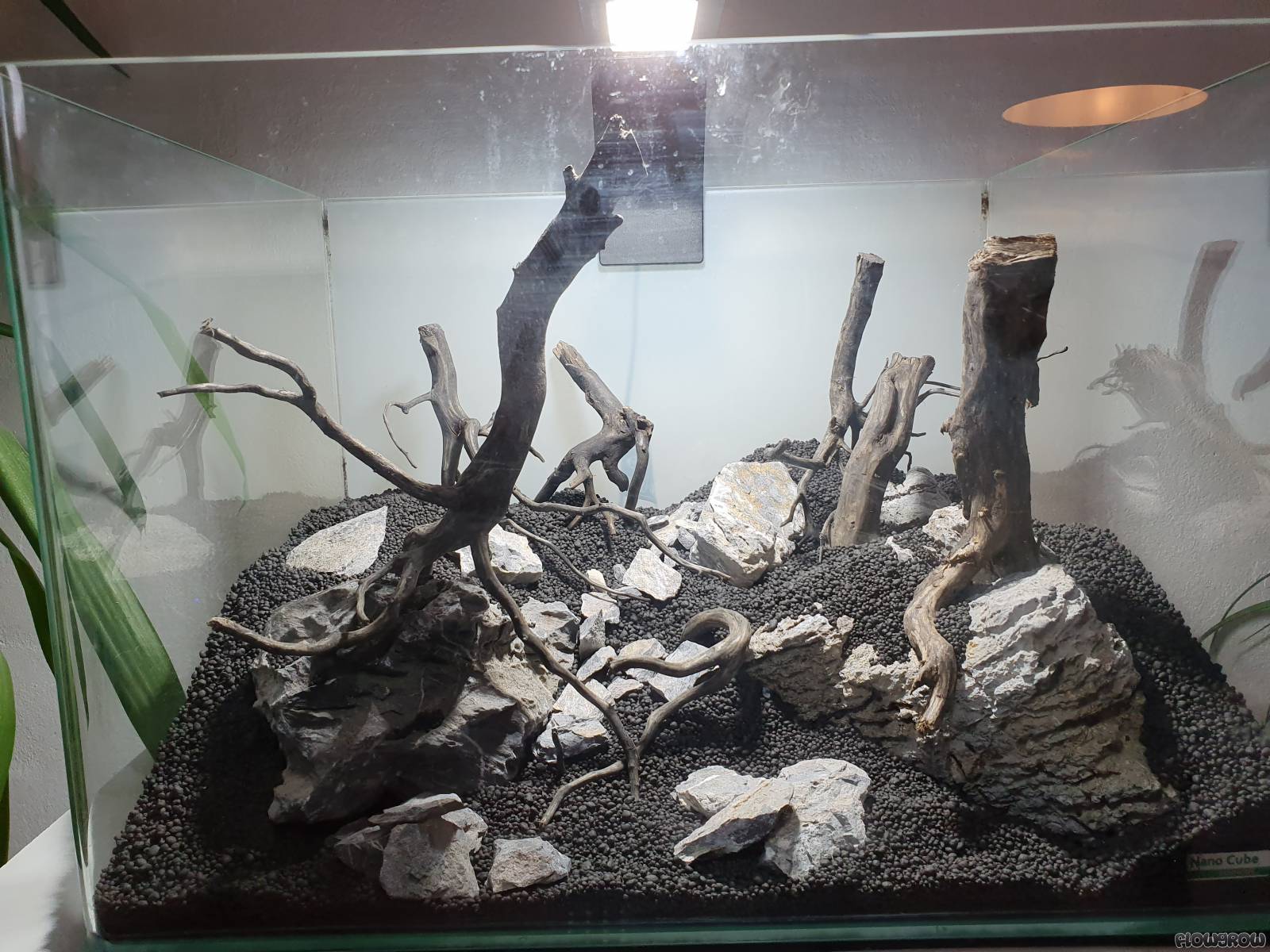 "Nano Forest" - Flowgrow Aquascape/Aquarium Database