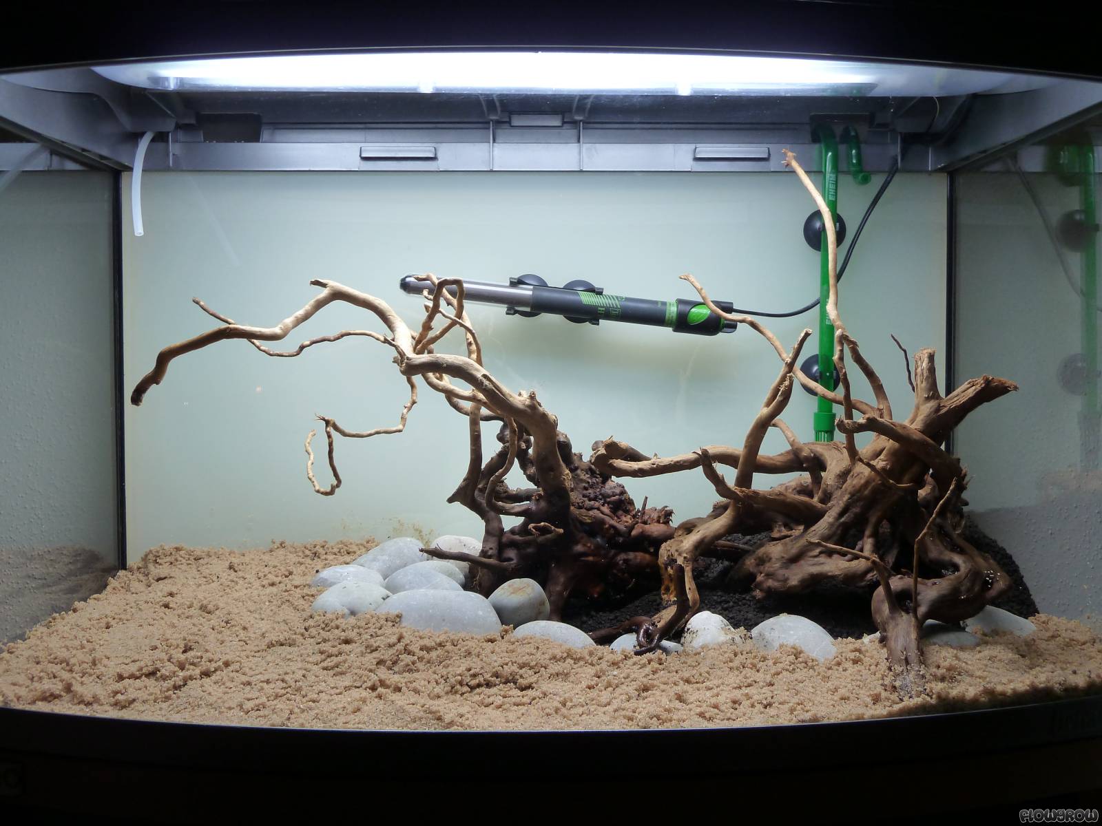 New Beginning - Flowgrow Aquascape/Aquarium Database