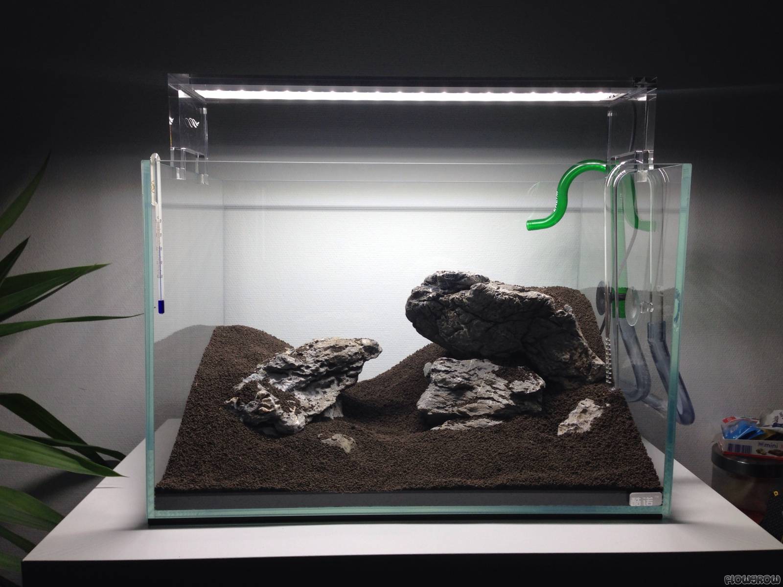 Rock'n roll - Flowgrow Aquascape/Aquarium Database