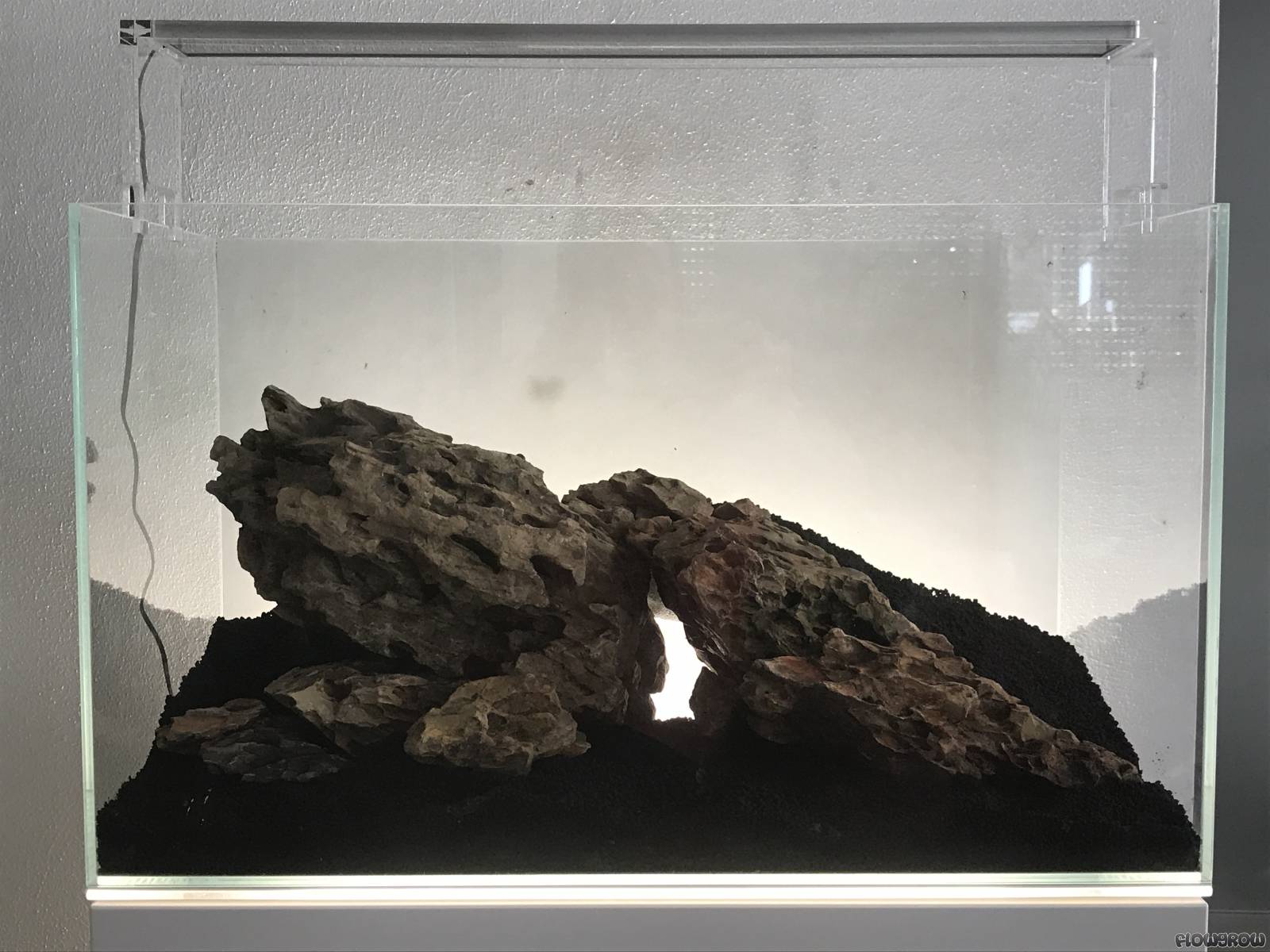 rock spur - Flowgrow Aquascape/Aquarium Database