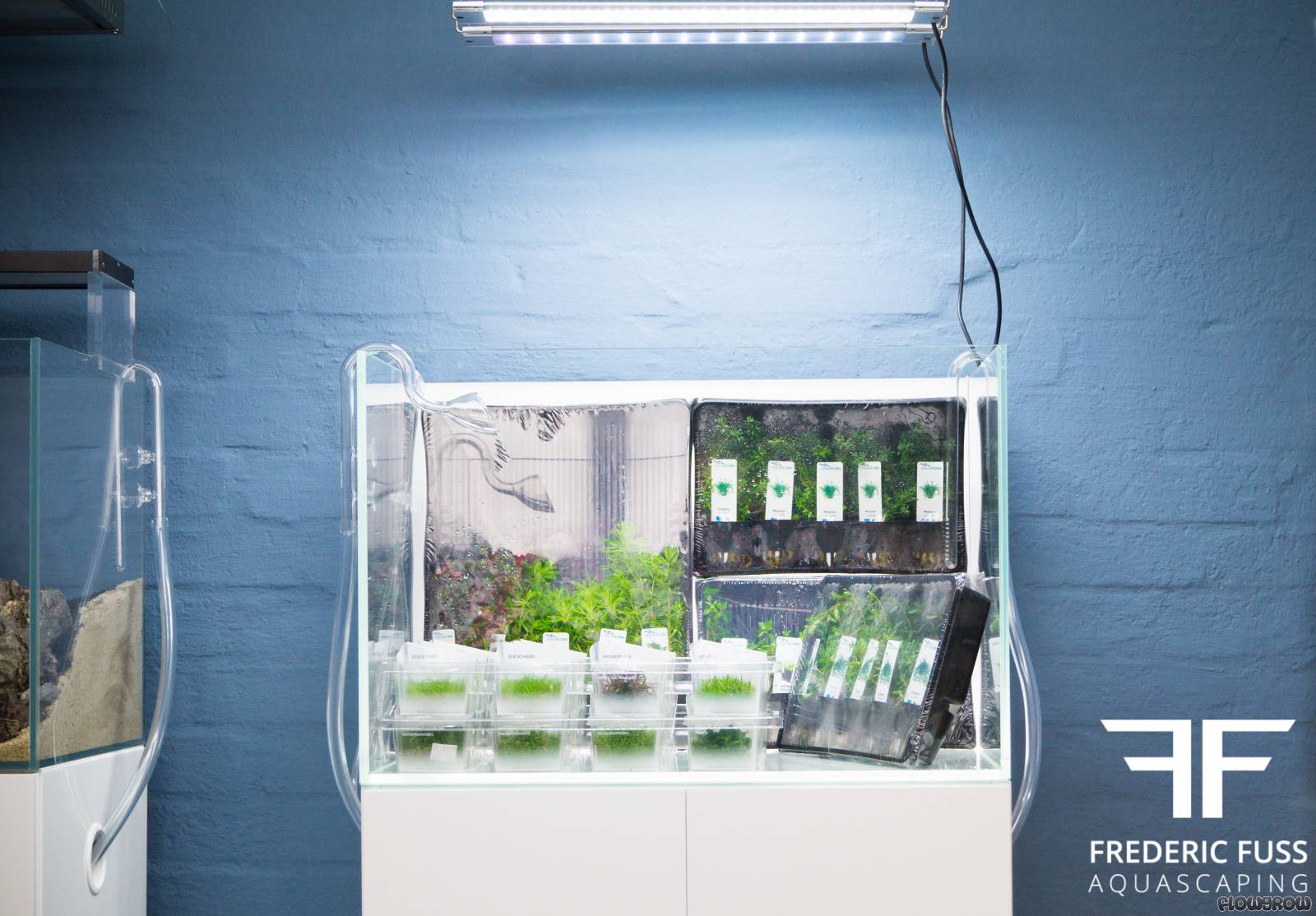 Vailanti - Flowgrow Aquascape/Aquarium Database