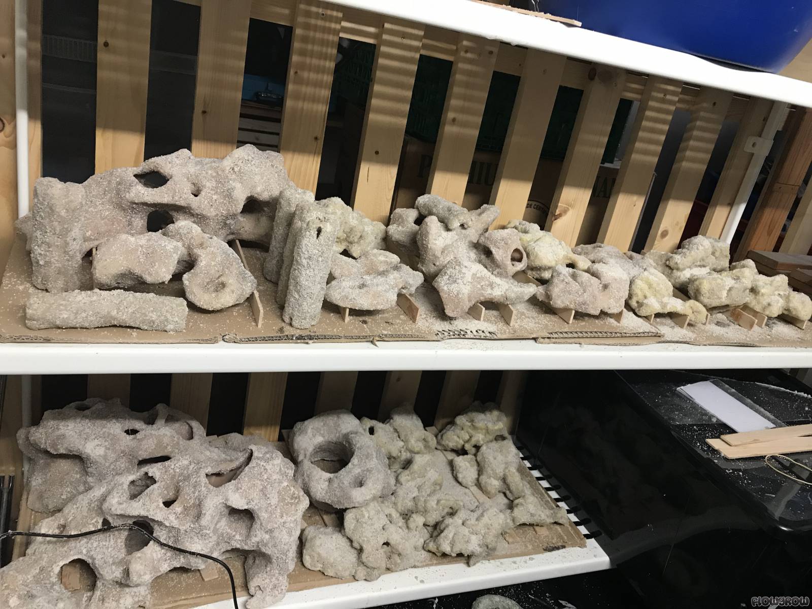 Wonderworld - Flowgrow Aquascape/Aquarium Database